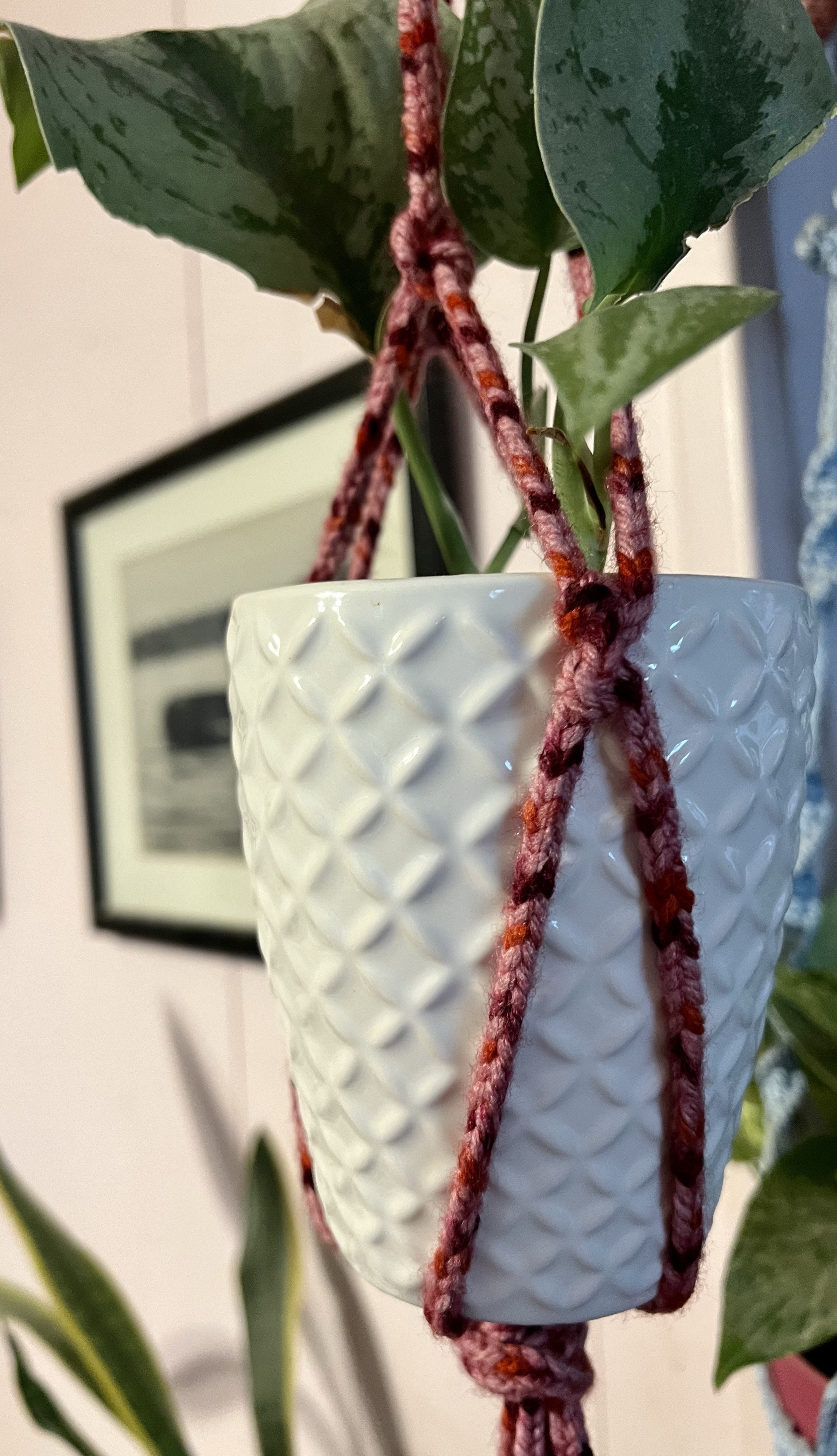 Lucet Cord Project: Simple Plant Hanger – Rya Knot